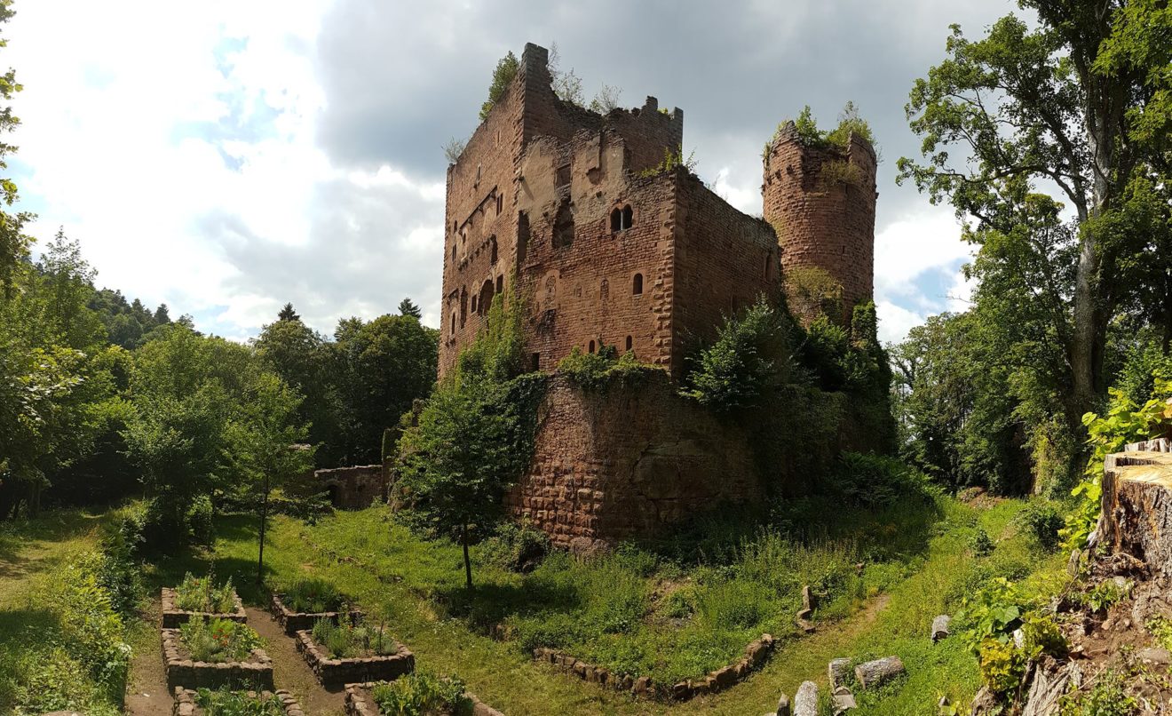 OUVERTURE DU SITE – Les Amis des Châteaux d'Ottrott